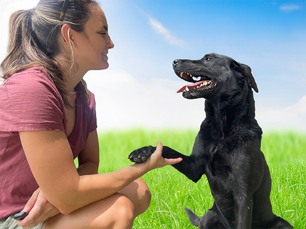 Dog Training - Empowered Animals